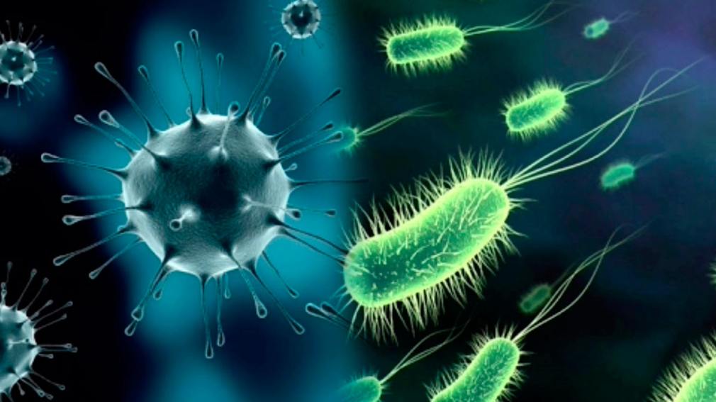 Tucumán Noticias – Agencia de Noticias - Estas son las ocho bacterias ...