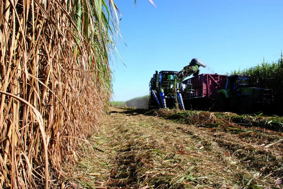 Tucumán Noticias – Agencia de Noticias - Zafra Azucarera en Tucumán: La ...